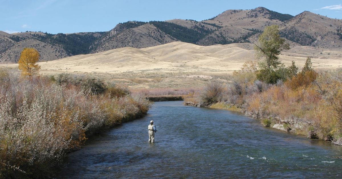 Ruby River Fishing Report - Alder, Montana