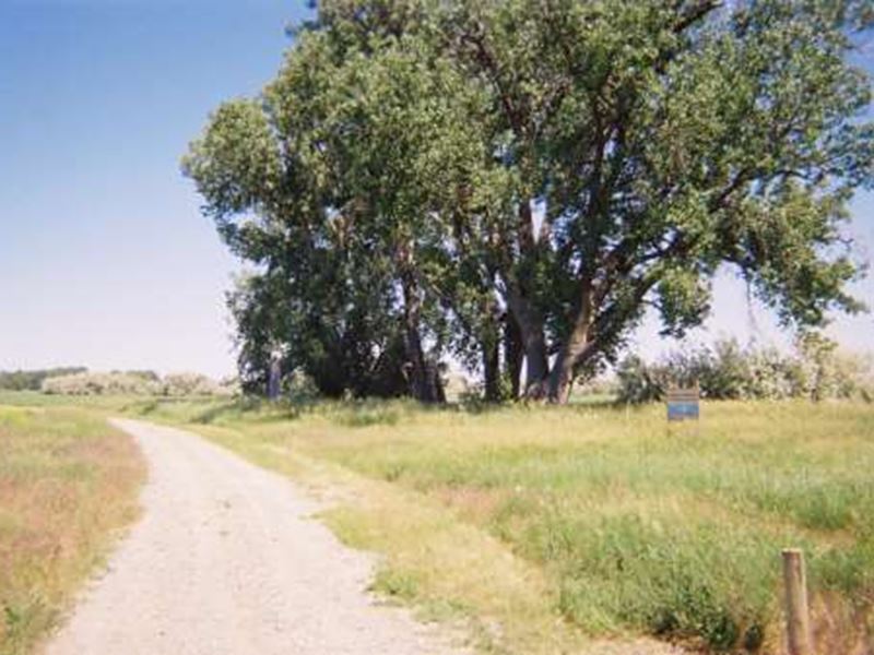 Amelia Island Wildlife Management Area - Hysham, Montana