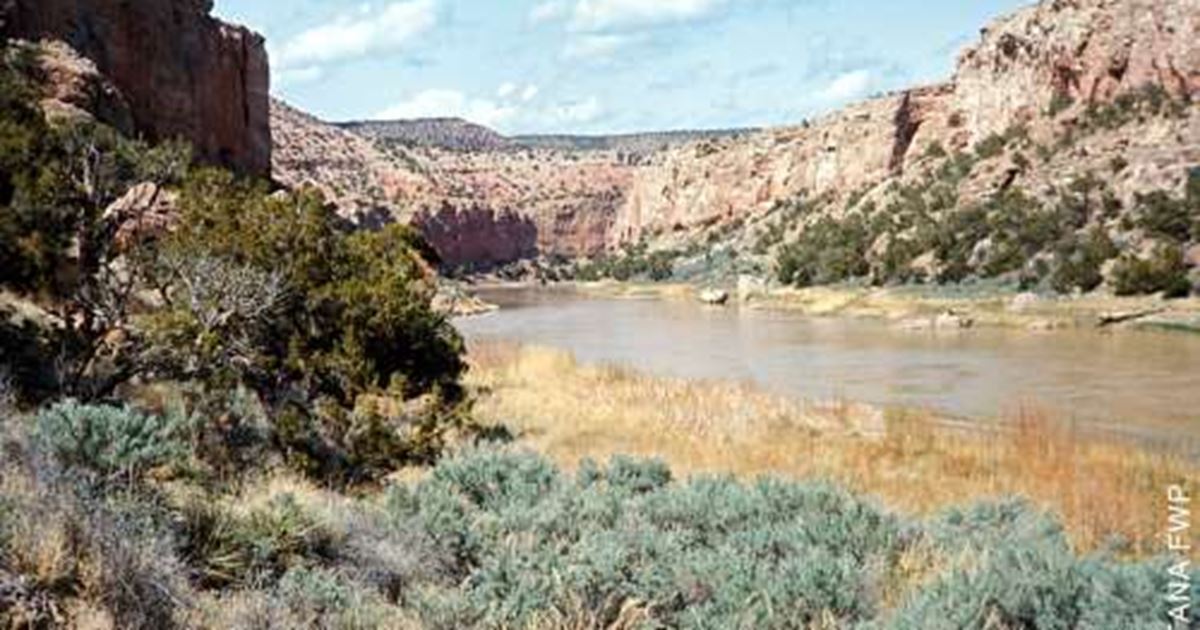 Grant Marsh Wildlife Management Area - Hardin, Montana