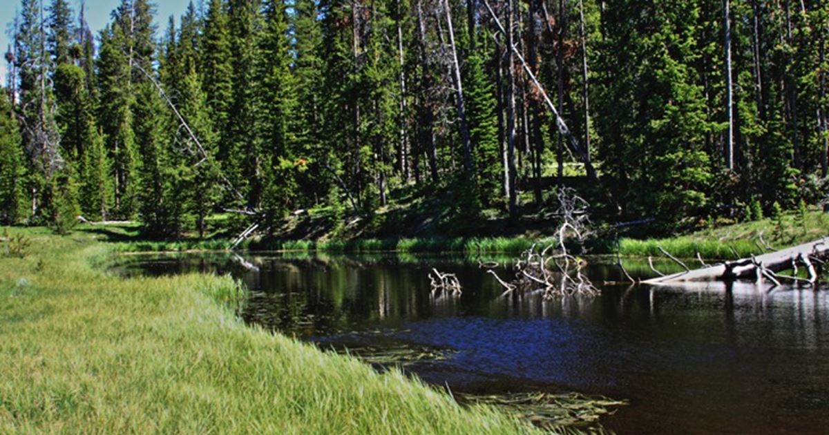 Wind River Fishing Report - Lander, Wyoming