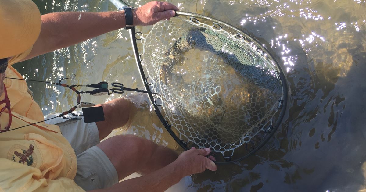 Yellowstone River Float Trip with Efferson Outfitters - Gardiner, Montana