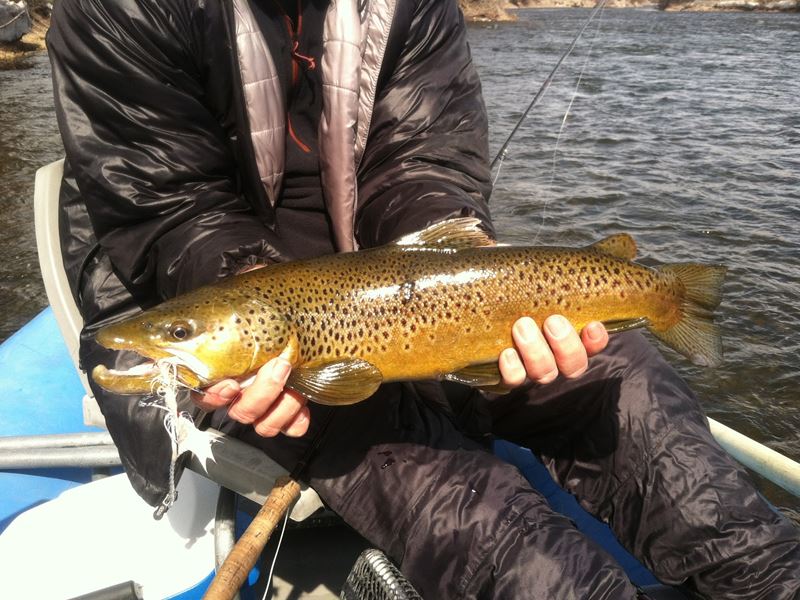 Gallatin River Full Day Float Trip with Red Mountain Adventures ...