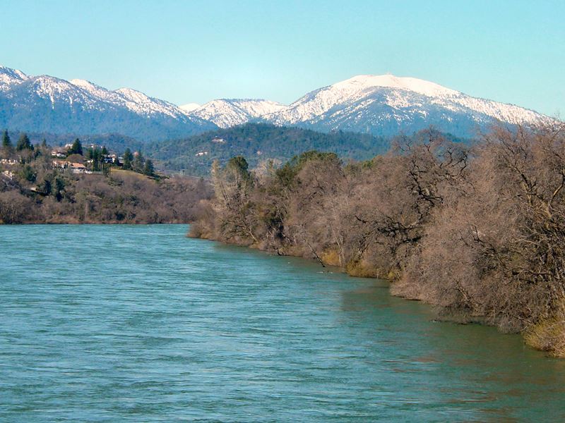 Sacramento River Fishing Report - Sacramento, California