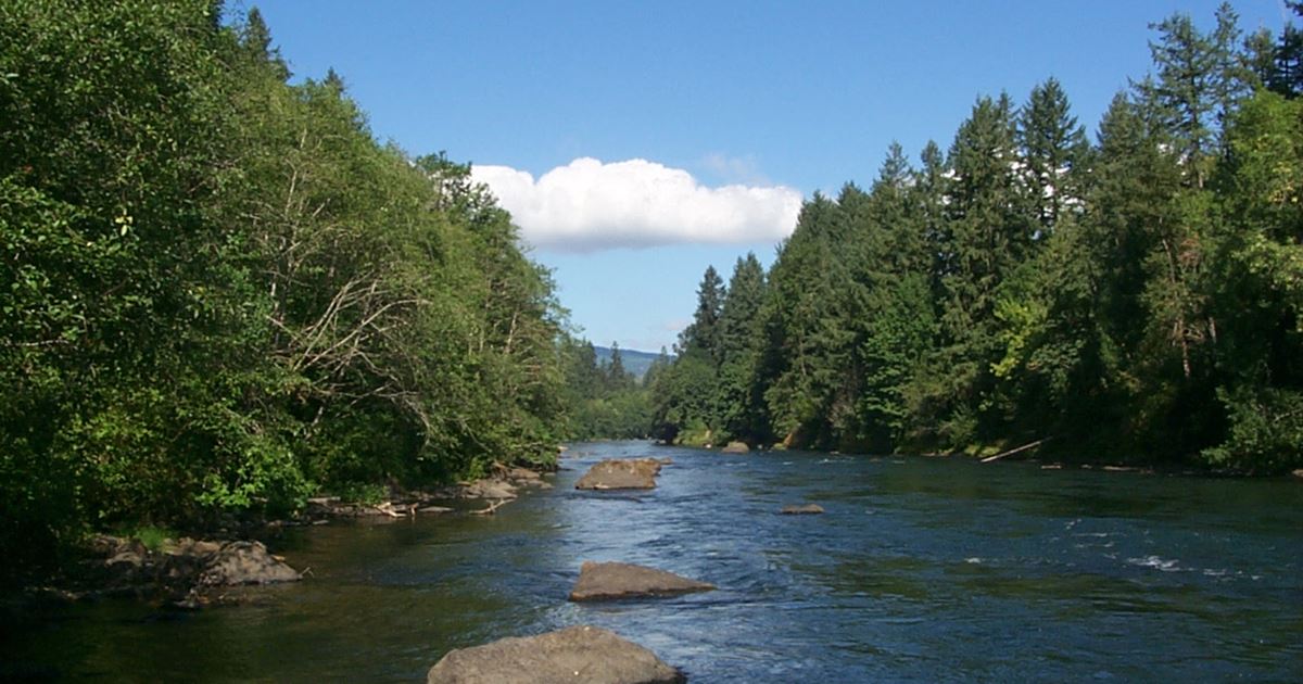 McKenzie River fishing Report, Oregon