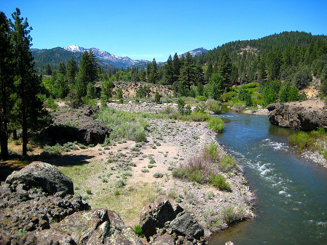 East Carson River Fishing Report - Carson City, Nevada