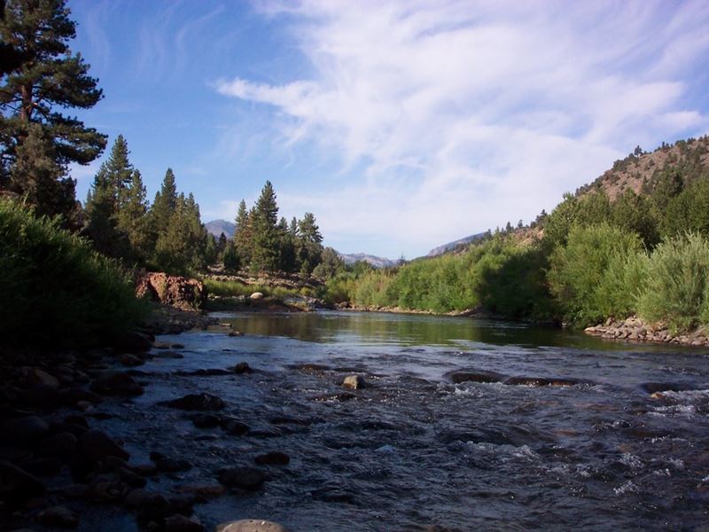 East Carson River Fishing Report - Carson City, Nevada