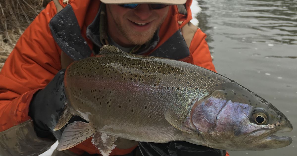 Ruby River Walk/Wade Trips with Montana Fly Fishing Trips - Alder, Montana