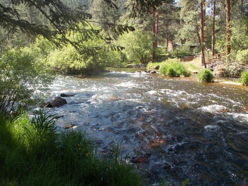 Big Thompson River Fishing Report - Drake, Colorado