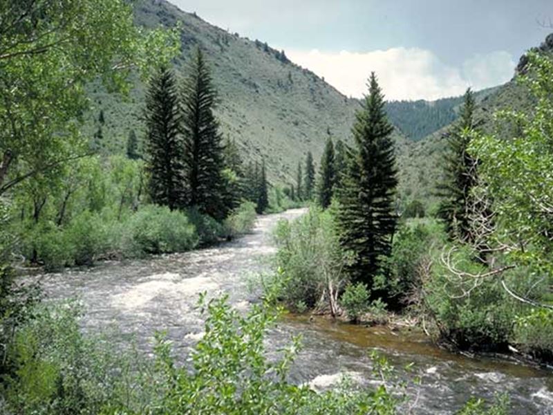 Encampment River Wilderness Fishing Access Site - Encampment, Wyoming
