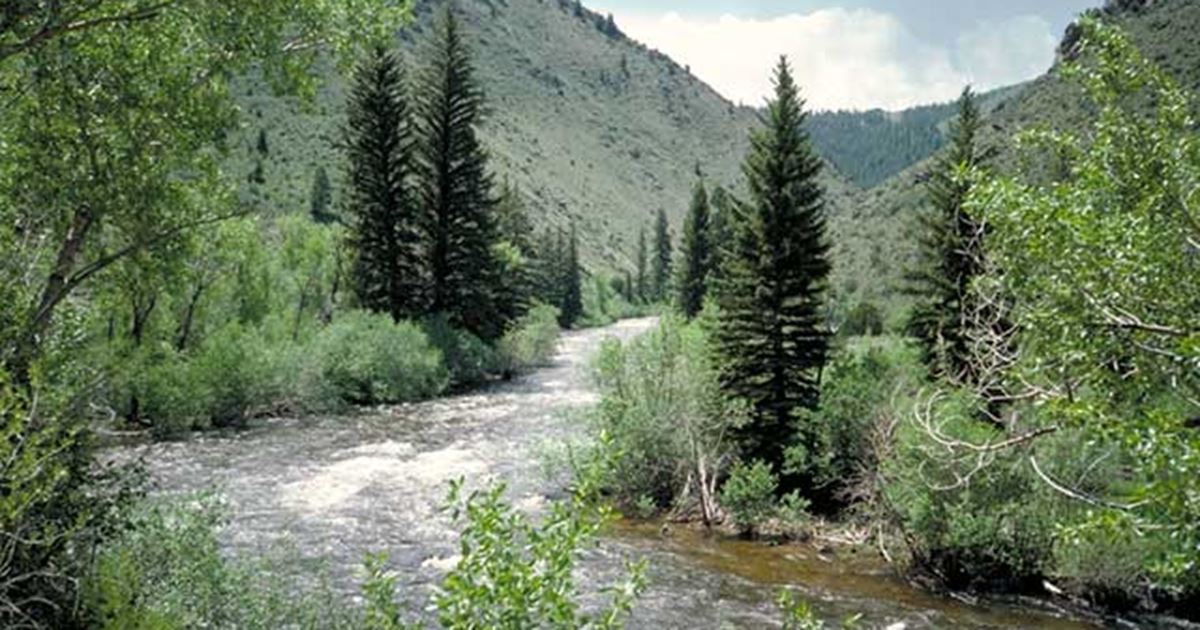 Encampment River Wilderness Fishing Access Site - Encampment, Wyoming