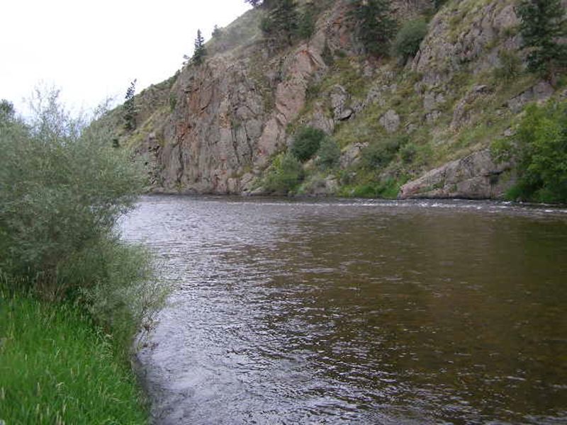 Cache La Poudre River Fishing Report - Laporte, Colorado