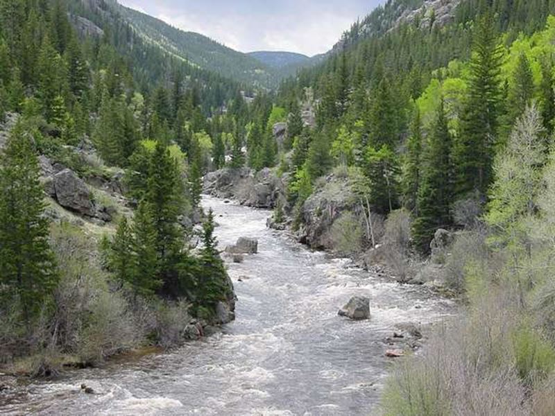 Cache La Poudre River Fishing Report - Laporte, Colorado