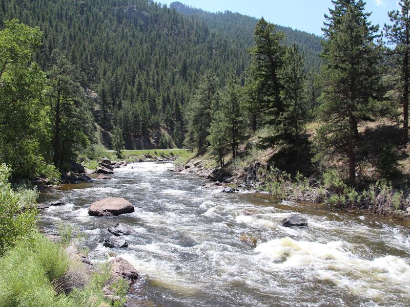 Cache La Poudre River Fishing Report - Laporte, Colorado