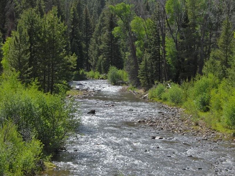 Duchesne River Fishing Report - Tabiona, Utah