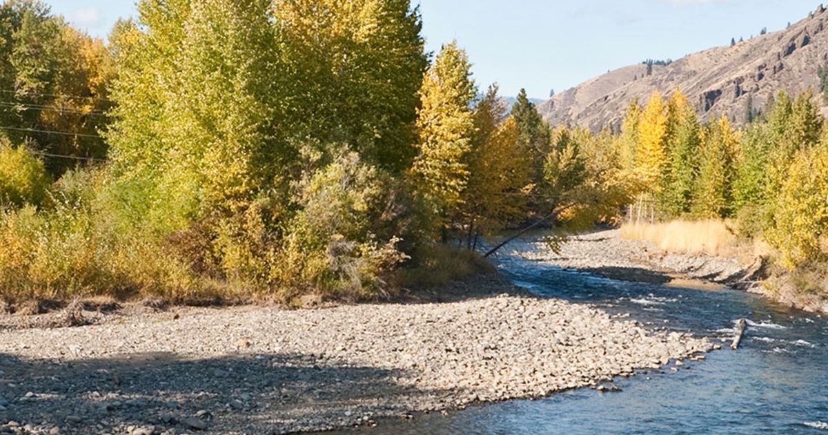 Naches River Fishing Report - Yakima, Washington