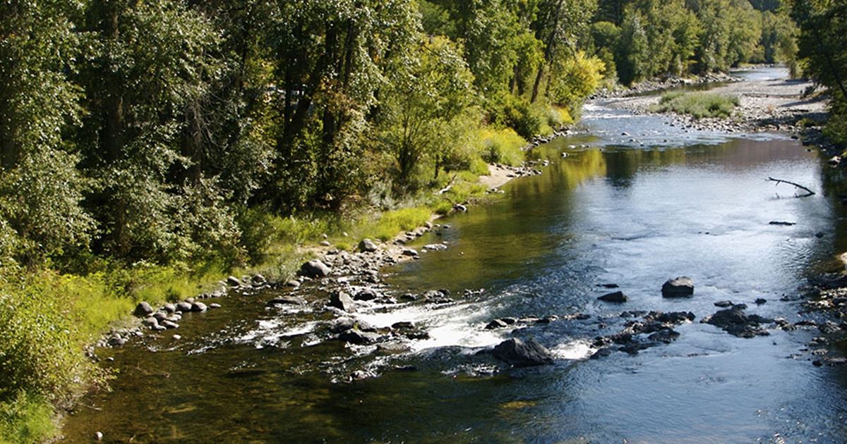 Methow River Fishing Report - Pateros, Washington