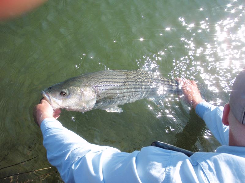 Float Trip on the American River with Nor Cal Fly Guides - Sacramento ...