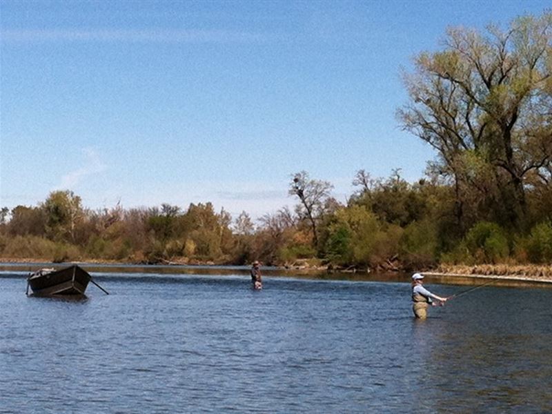 Float Trip on the Lower Sacramento River with Steel Bridge Guides - Sacramento, California