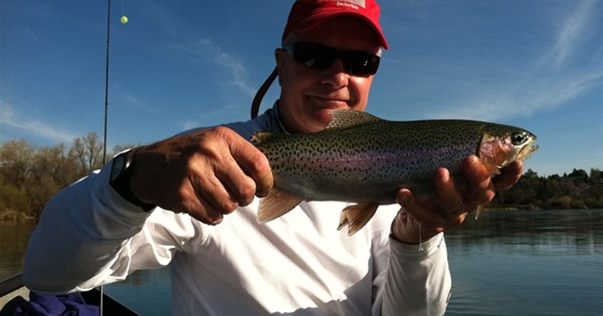 Float Trip on the Lower Sacramento River with Steel Bridge Guides - Sacramento, California
