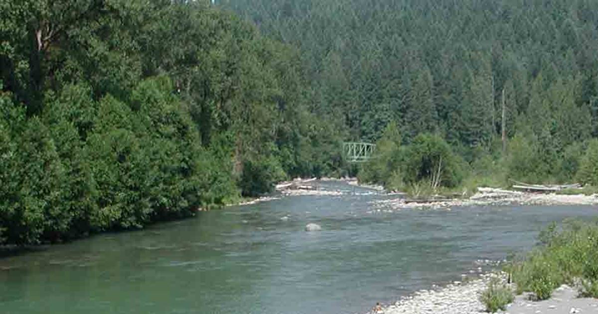 Fall River Fishing Report - Bend, Oregon