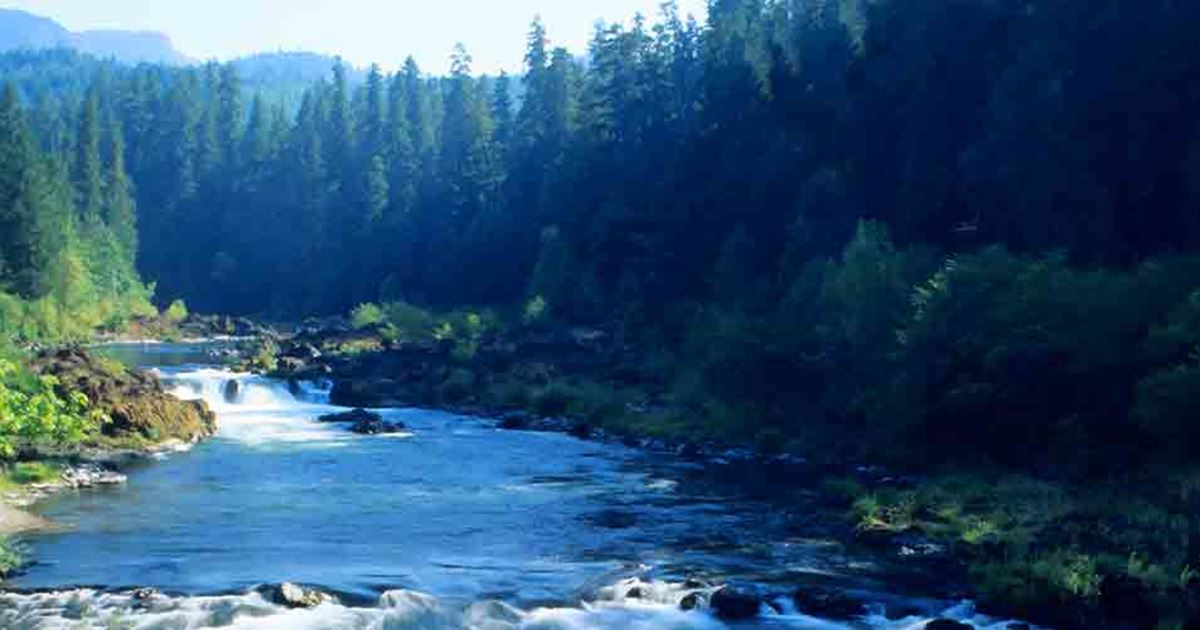 Deschutes River Fishing Report - Maupin, Oregon