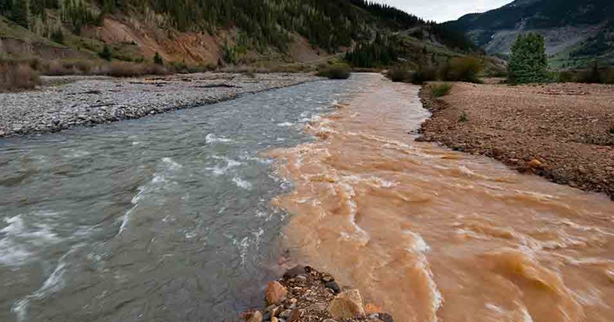 Animas River Fishing Report - Durango, Colorado