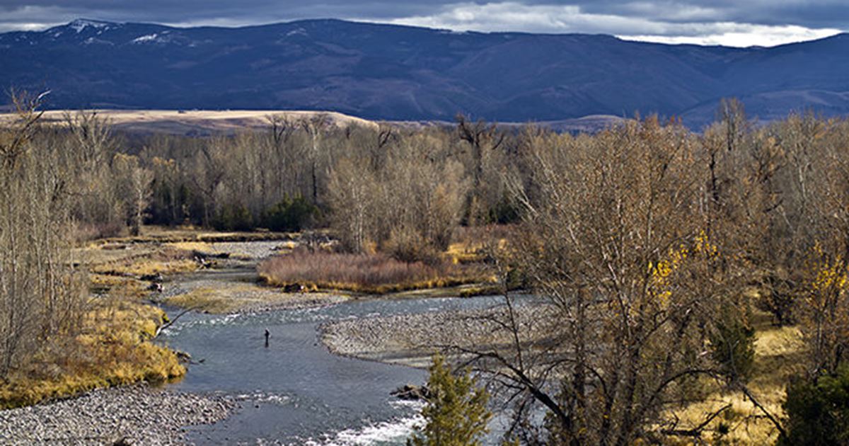 Float Trip on the Gallatin River with Zach Neville Outfitters ...