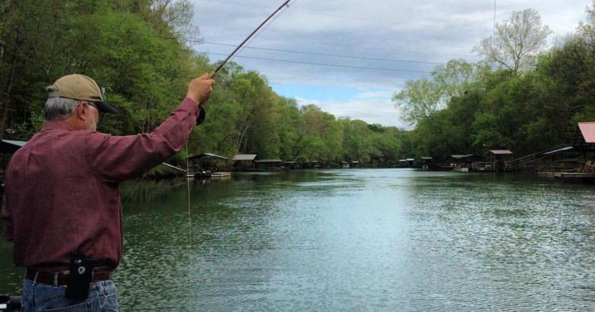 Norfork River Float Trip with Tailwater Fishing Co - Mountain Home ...