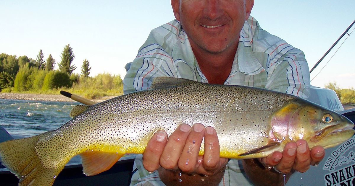 Will Dornan - Jackson, Wyoming