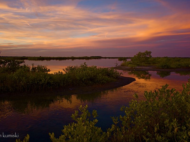 Mosquito Lagoon Fishing Report, Florida