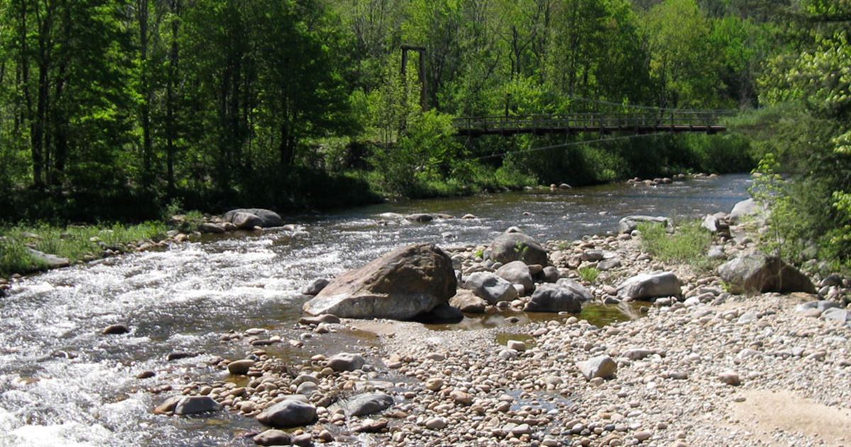 Magalloway River Fishing Report - Errol, Maine