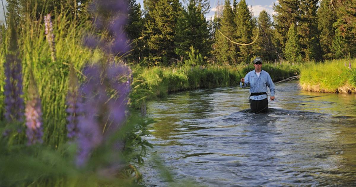 Deschutes River Wade Trip with Fly & Field Outfitters - Maupin, Oregon