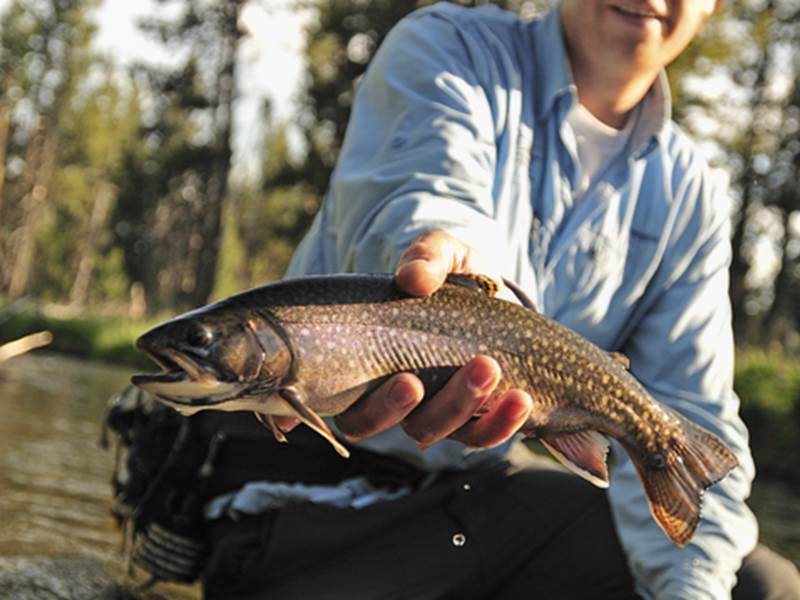 Danny McWilliams - Bend, Oregon