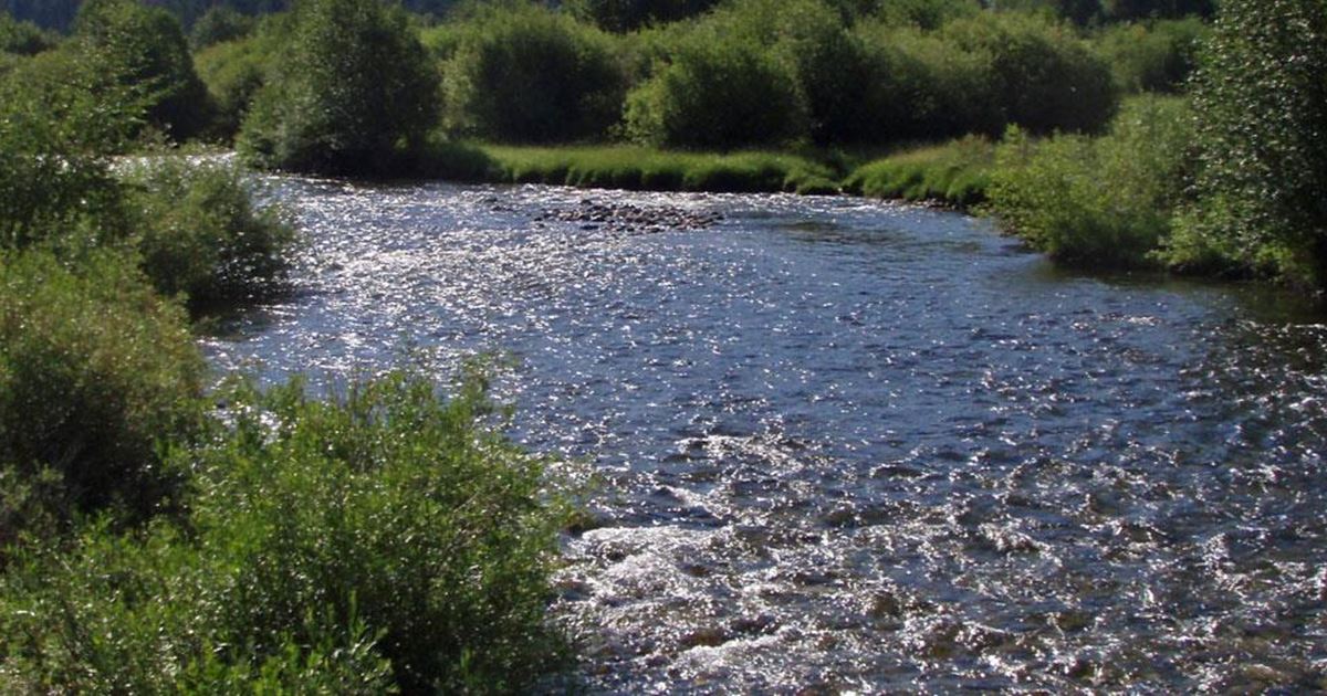 Bull River Fishing Report - Bull River, British Columbia