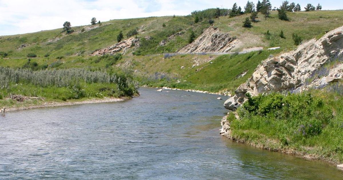 Crowsnest River Fishing Report - Lundbreck, Alberta