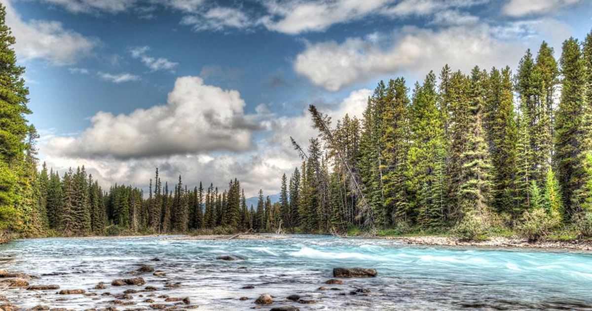 Livingstone River Fishing Report - Longview, Alberta