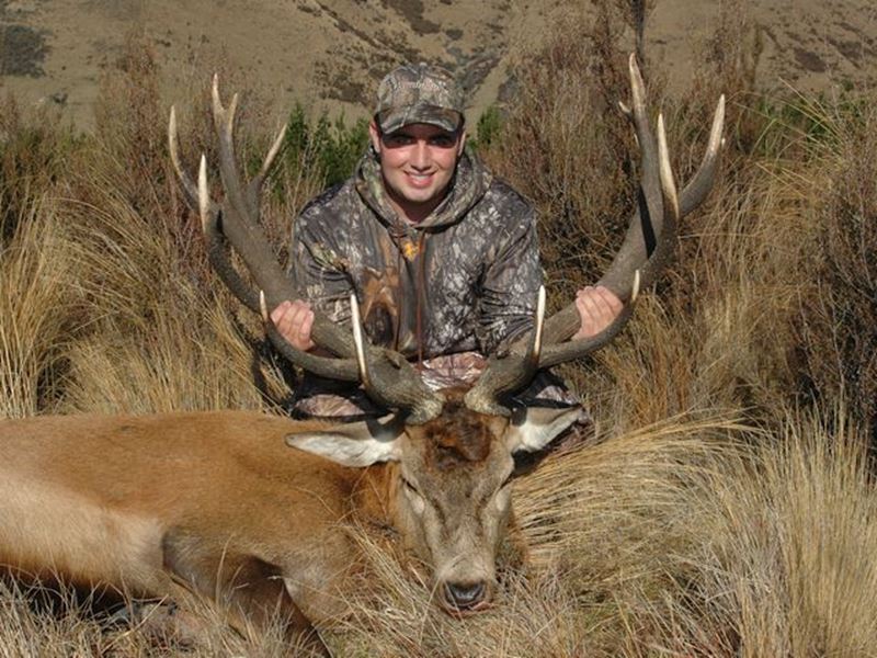 Wild Free Range Red Stag Hunting Trip with New Zealand Safaris ...