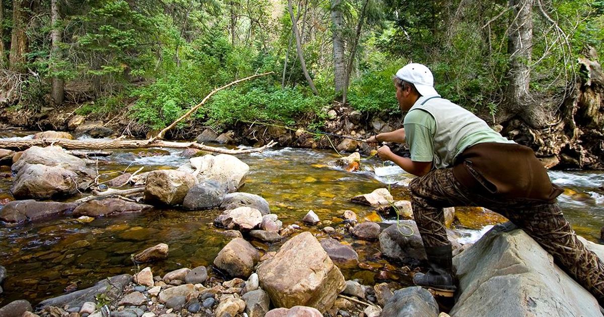 Think Fly Reels Are Too Expensive? Take Up Tenkara (Centuries Old ...
