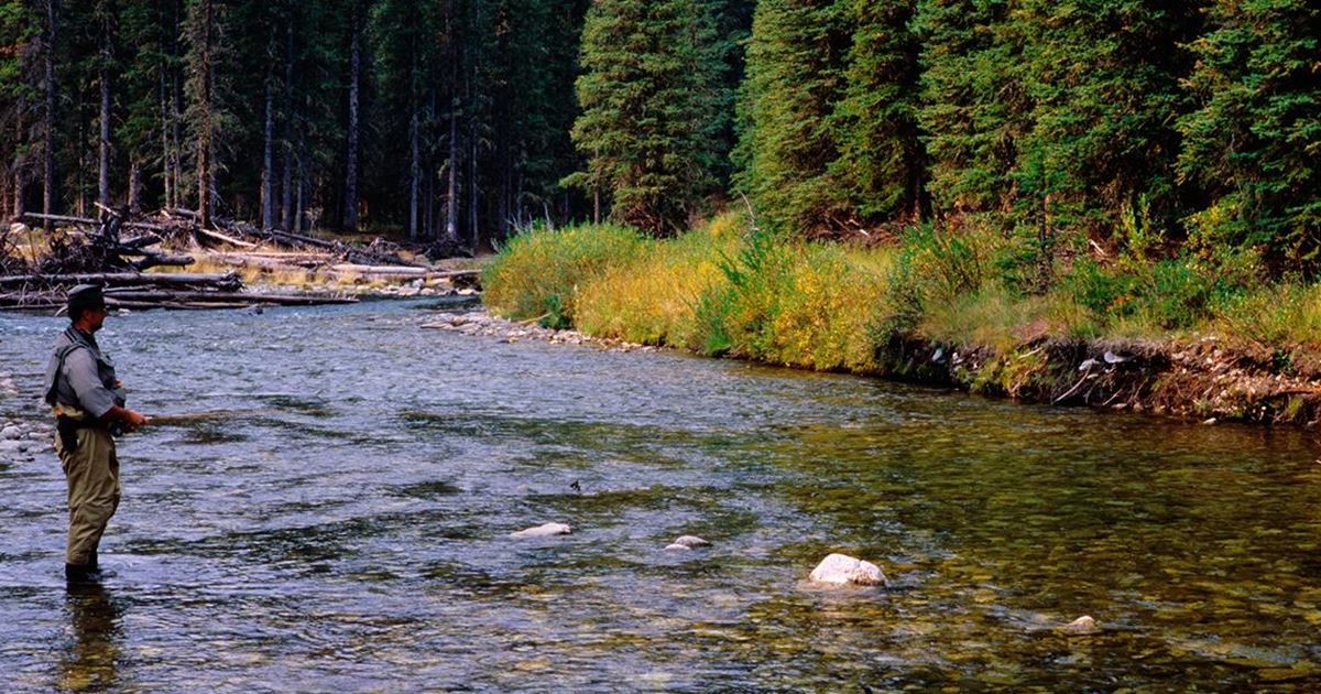 Fishing Haven in the Yukon Territory