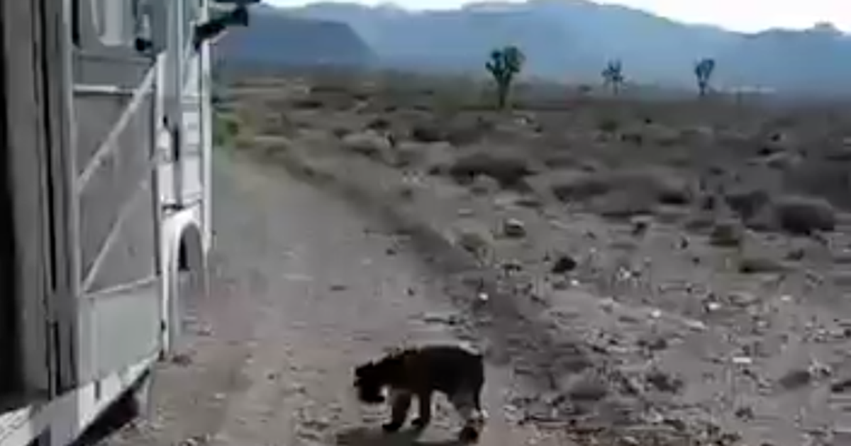 Gemfield by Rollin' Okies - Goldfield, Nevada