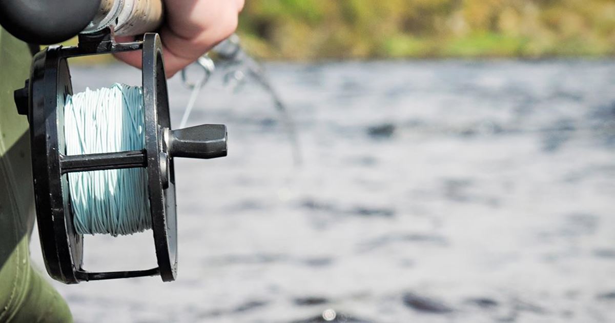 How Water Clarity Affects Fishing