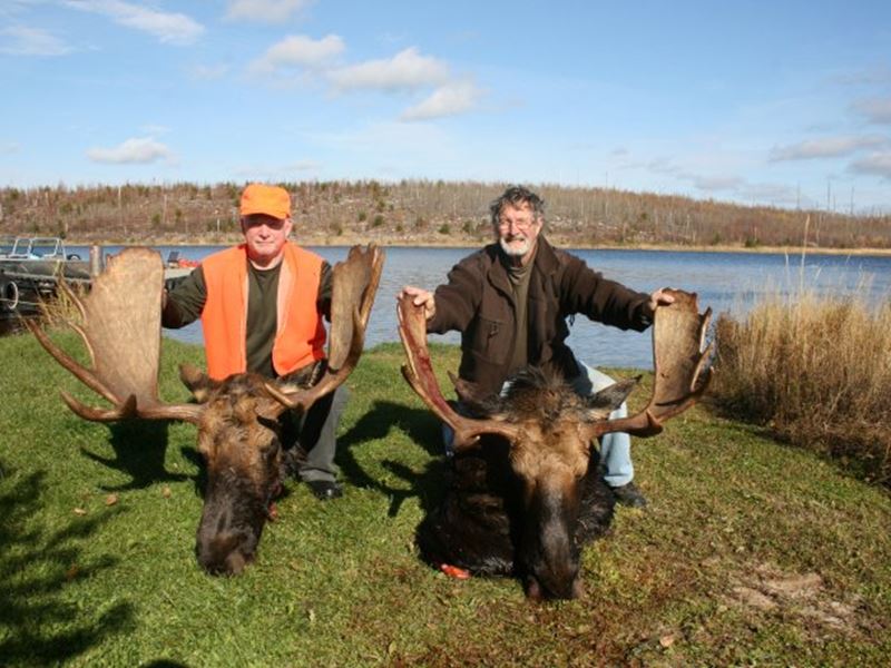 Moose Hunt Package - Sioux Lookout, Kenora, Red Lake, Dryden, Sioux ...