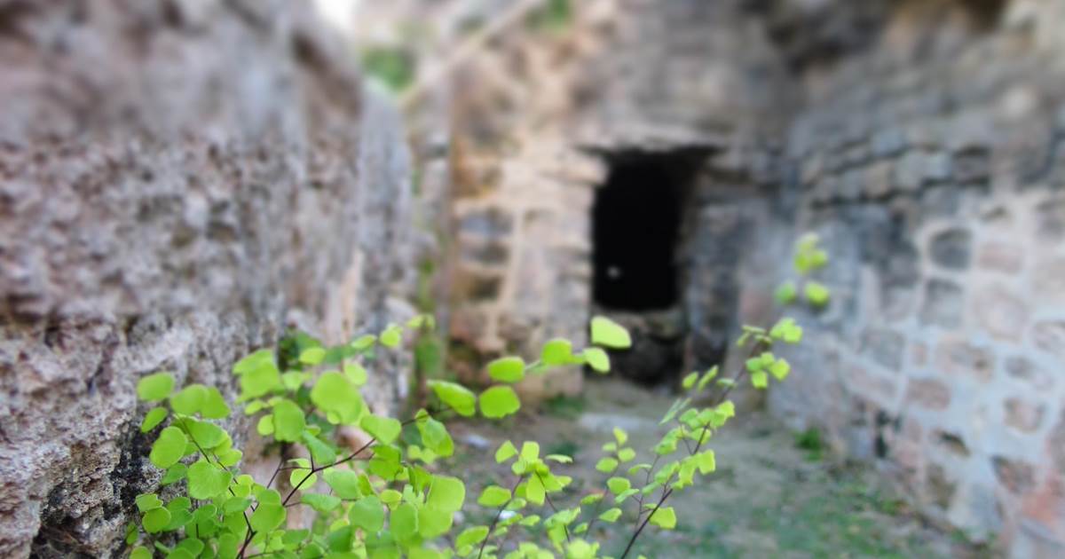 Santa Rita Archaeological Site - Corozal, Corozal District