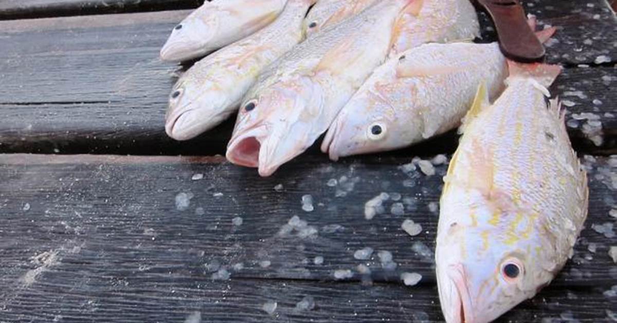 Flat Fishing, Corozal District