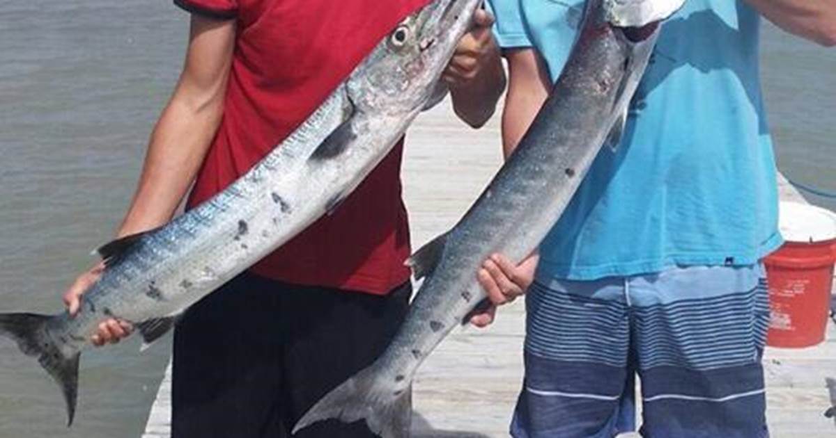 Full Day Fishing Beach BBQ - San Pedro