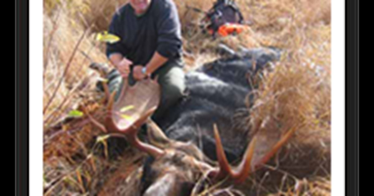 7 Day Moose Hunt (Archery) Self Guided Package, Kenora, Red Lake ...