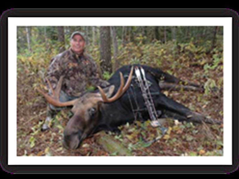 7 Day Moose Hunt (Rifle) Package, Kenora, Red Lake, Dryden, Sioux ...
