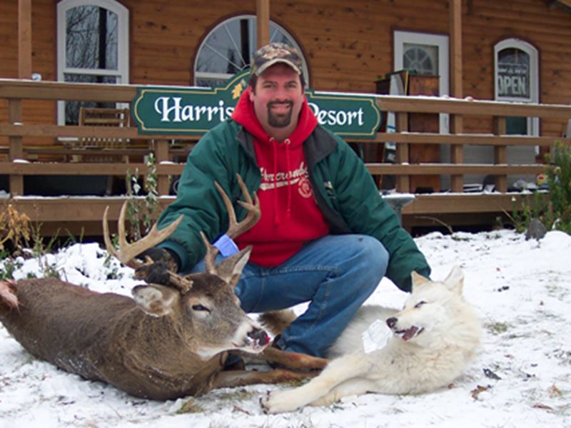 Timber Wolf Hunting Package, Fort Frances, Kenora and Dryden, Ontario