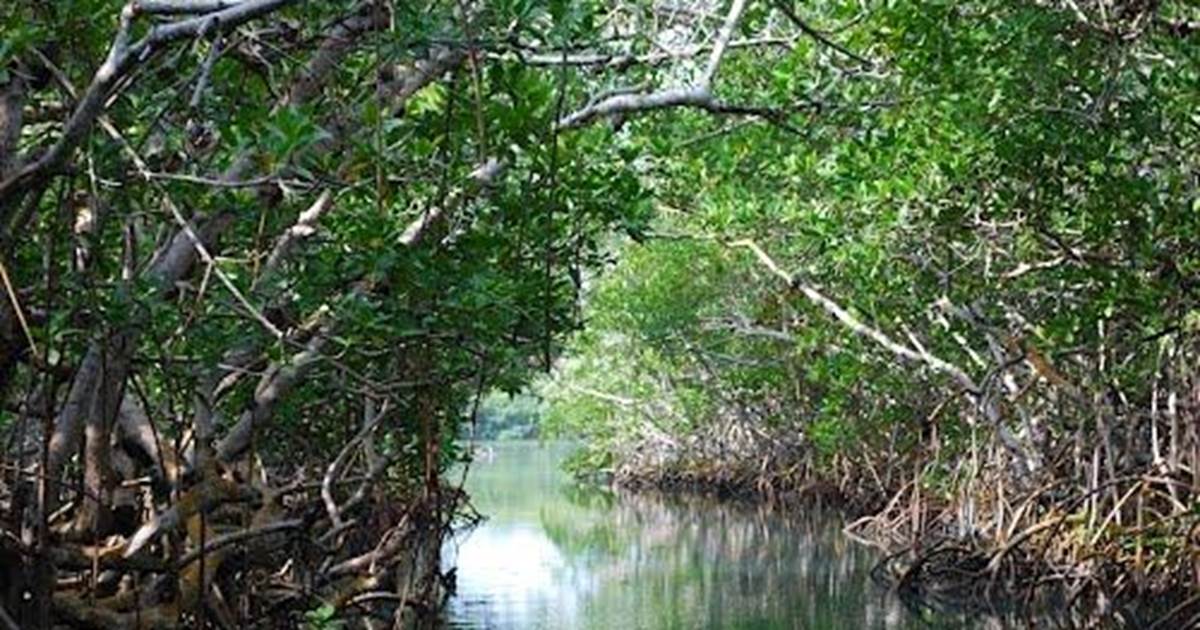 Bacalar Chico National Park and Marine Reserve, Corozal District
