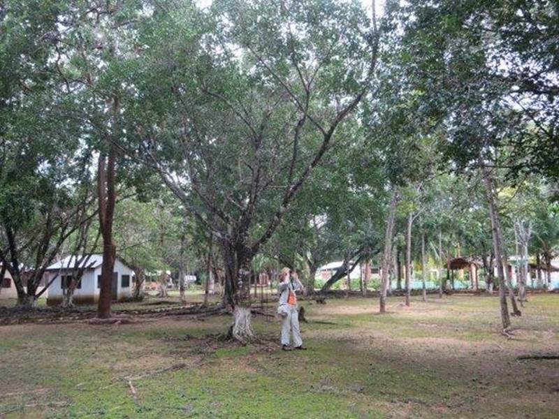 Shipstern Nature Reserve, Corozal District